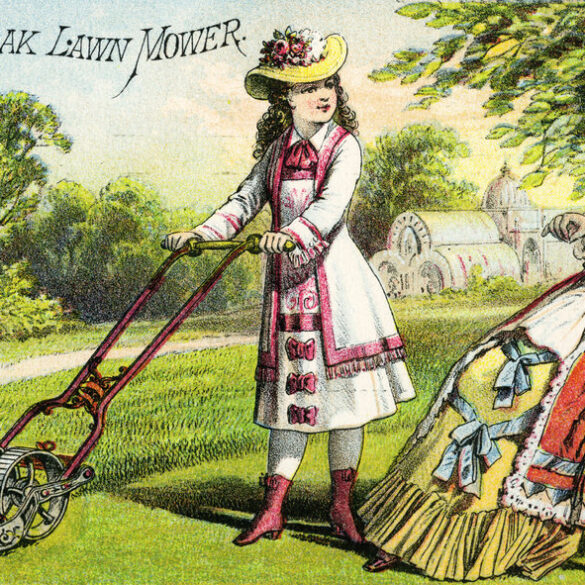 Guide to Plant Dormancy: Understanding Nature's Resting Phase ...