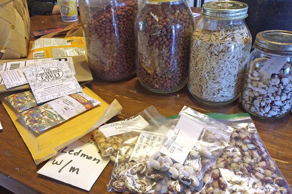 Heirloom Seed Preservation Efforts: Safeguarding Our Agricultural ...