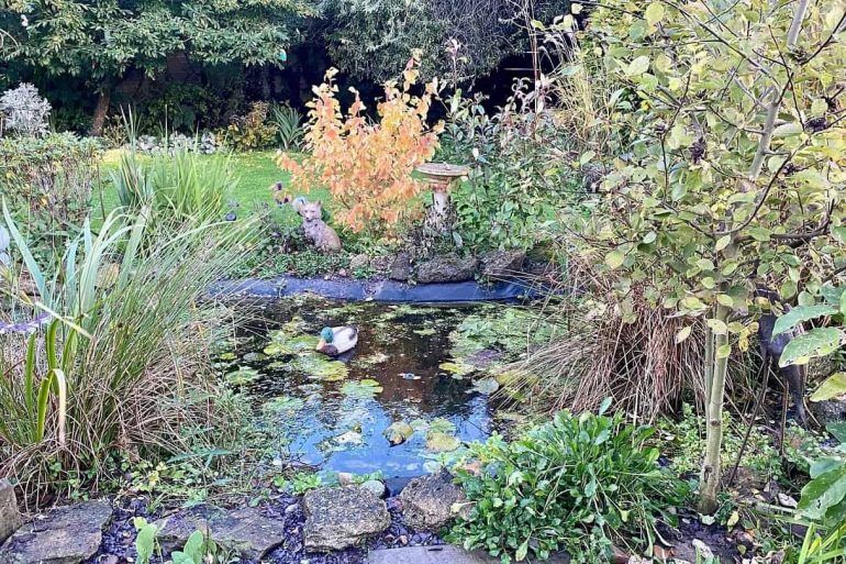 Native American Gardening Practices and Crops: Ancient Wisdom for ...